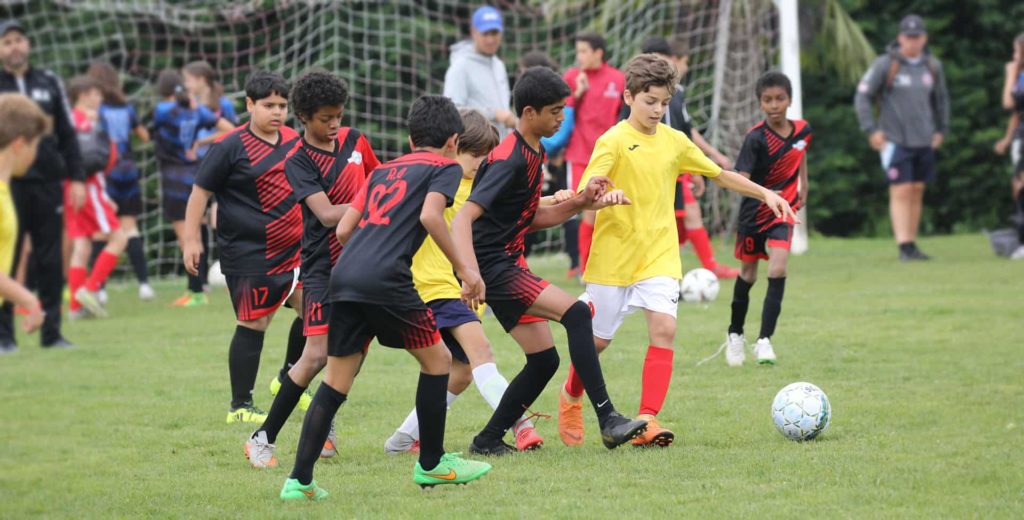 Naseem International School SPG - Bahrain Schools Guide